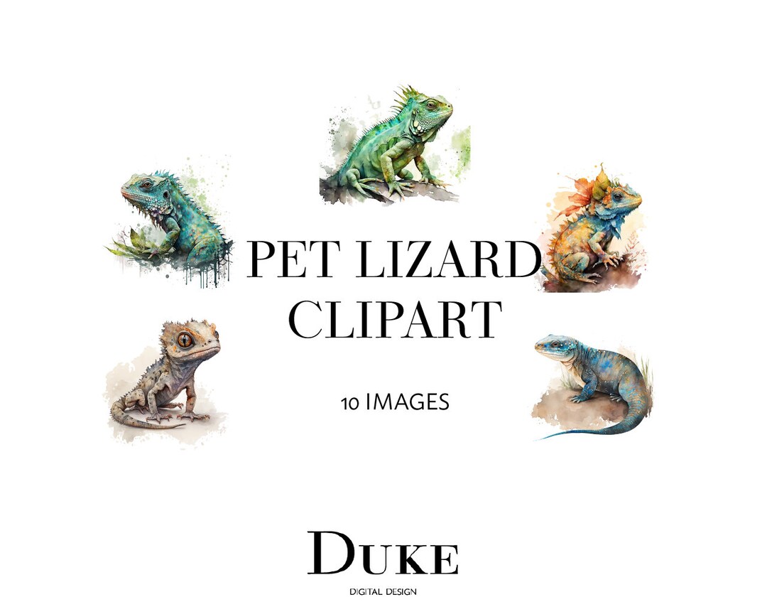 Pet Lizard Watercolor Clipart Bundle High-resolution PNG Images Instant ...
