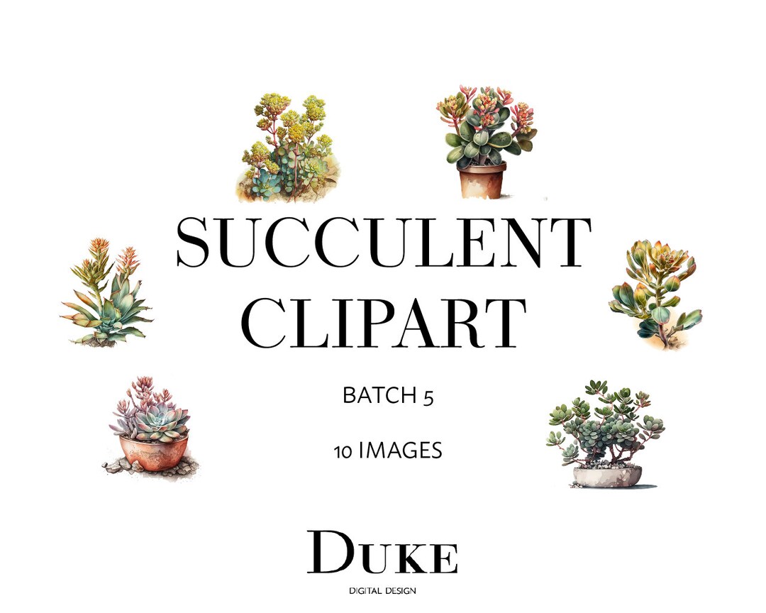 Succulent Watercolor Clipart Bundle High-resolution PNG Images Instant ...