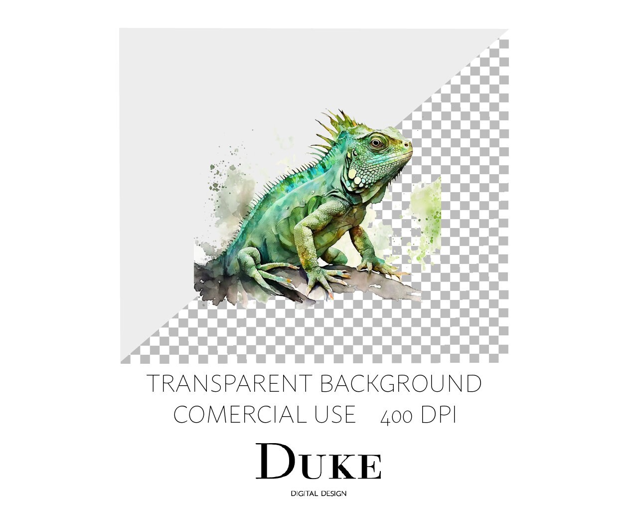 Pet Lizard Watercolor Clipart Bundle High-resolution PNG Images Instant ...