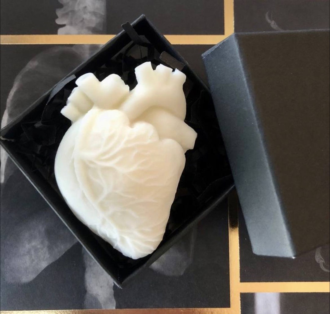 Bleeding Anatomical Heart Large Wax Melt/ Present for Nurse / Doctor ...