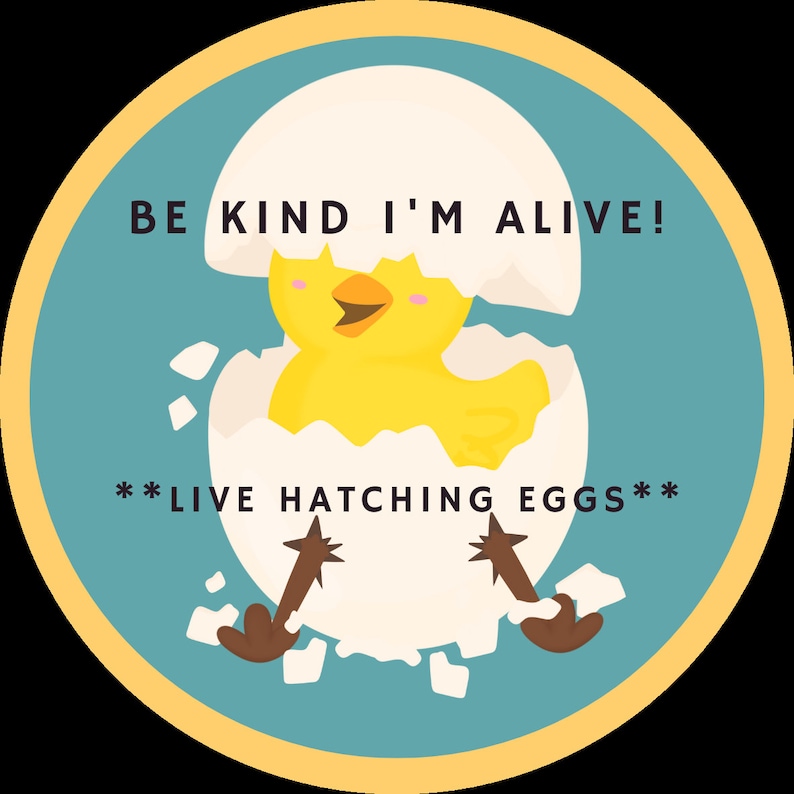 Shipping Stickers for Hatching Eggs - Etsy