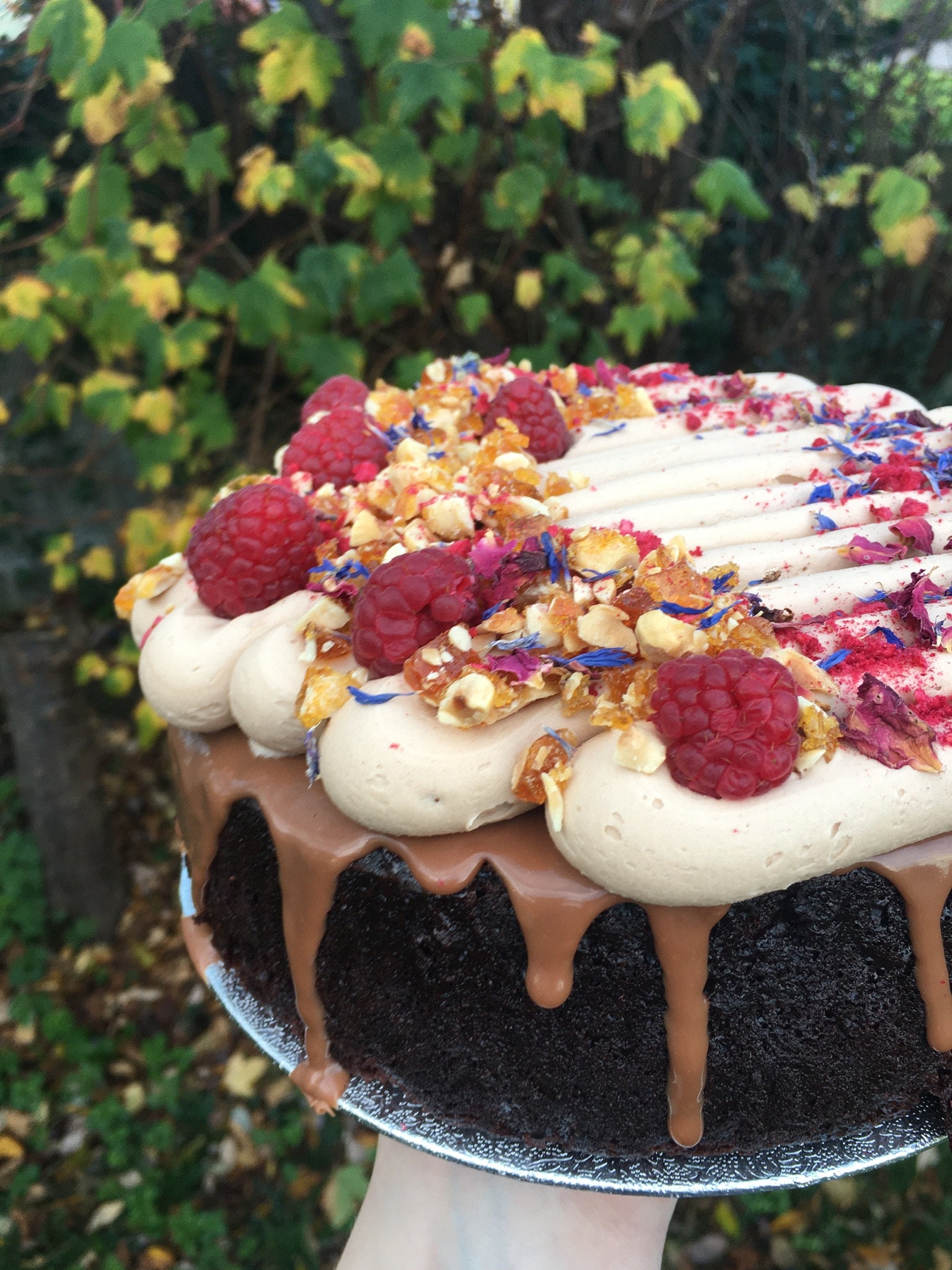 Cake Recipes, Recipe Bundle Pack, Digital Recipe Book, Chocolate Cake ...