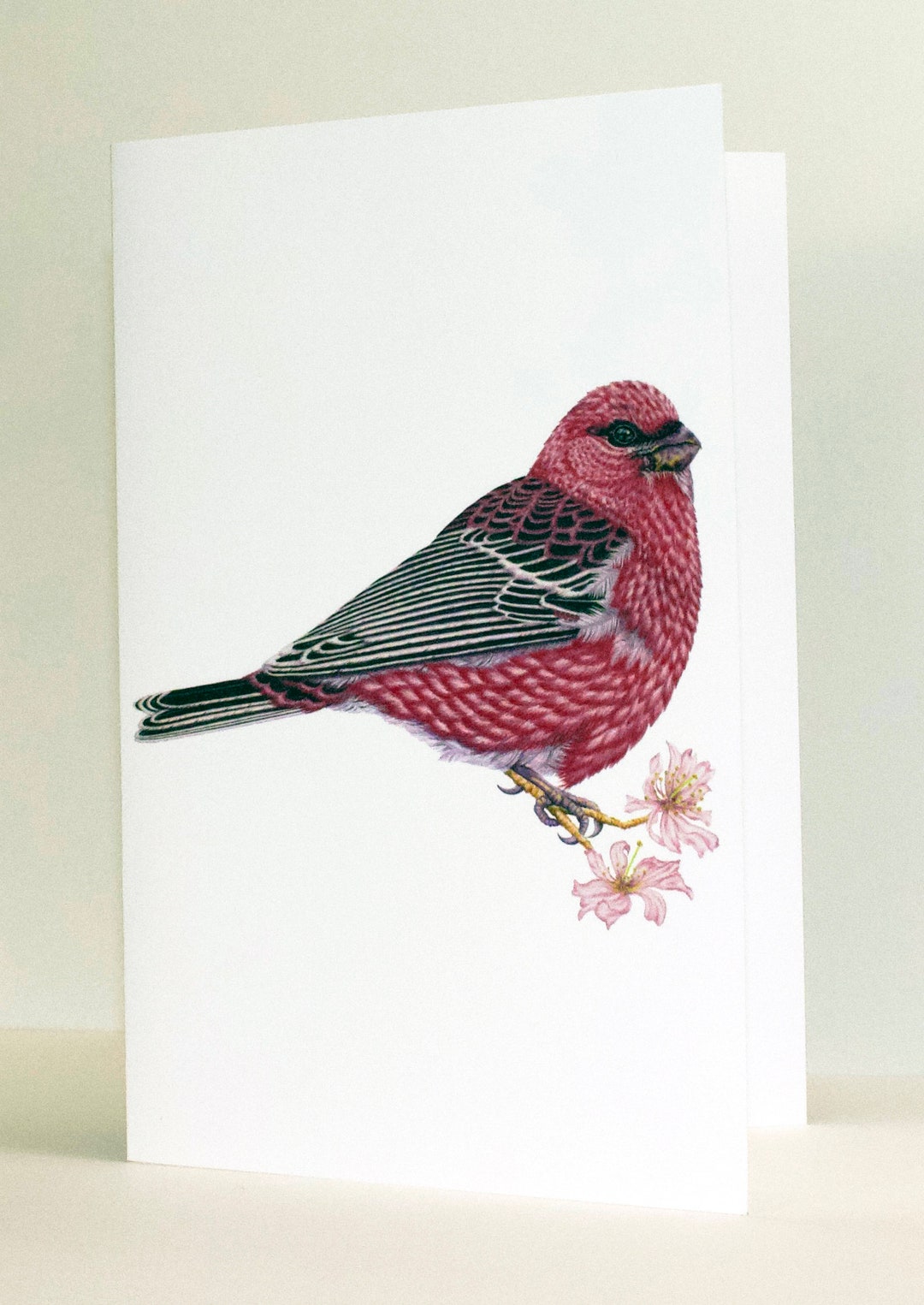 Purple Finch Bird Greeting Card - Etsy