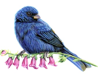 Purple Martin Botanical Oil Painting Digital Print Printable Decor for ...