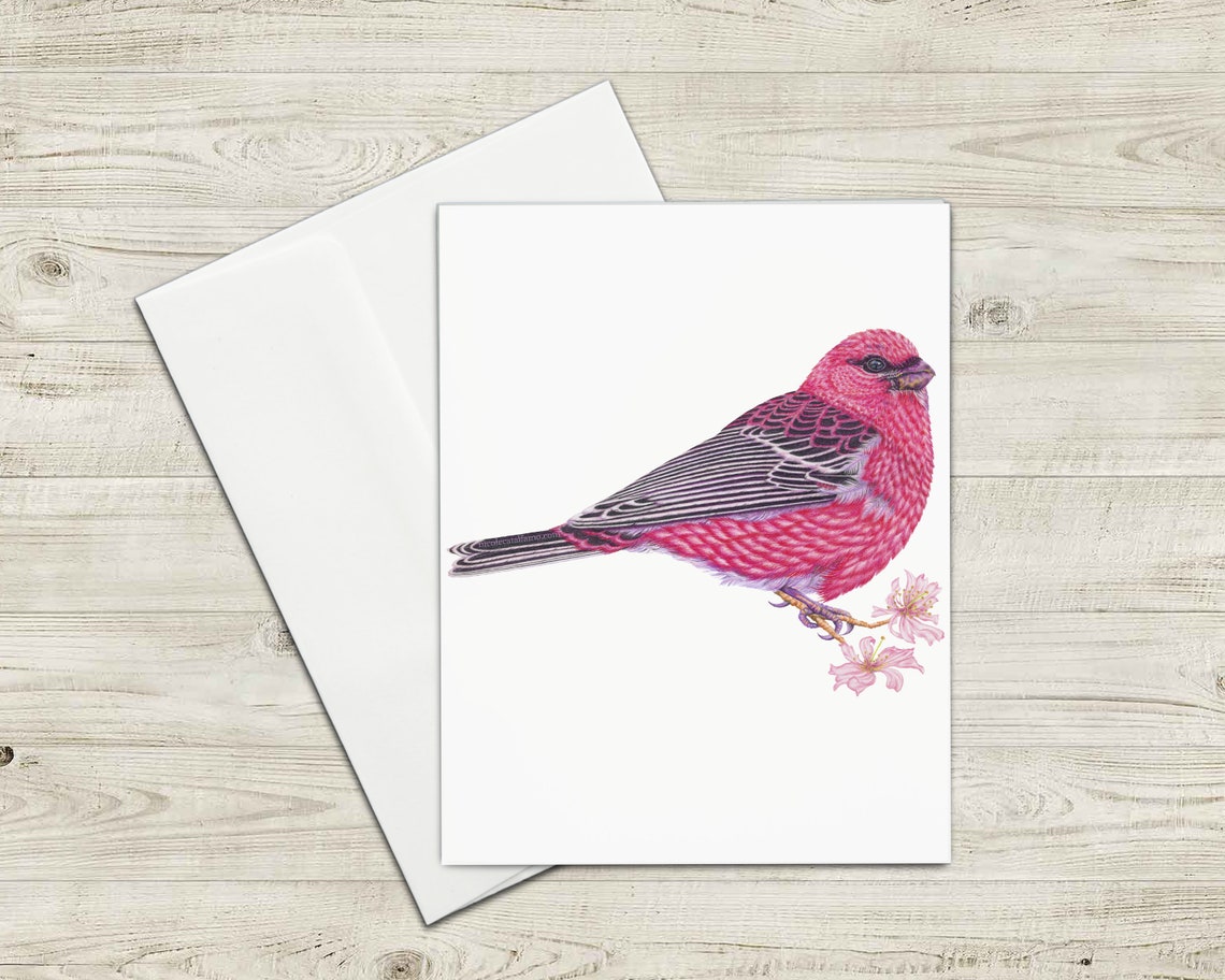 Purple Finch Bird Greeting Card - Etsy