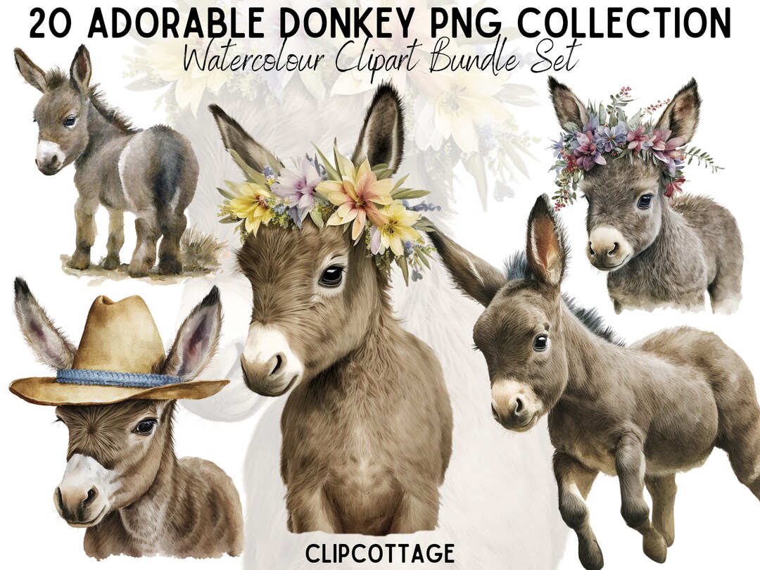 20 Donkeys Clipart Bundle - Digital PNG Sublimation Cute Animal ...
