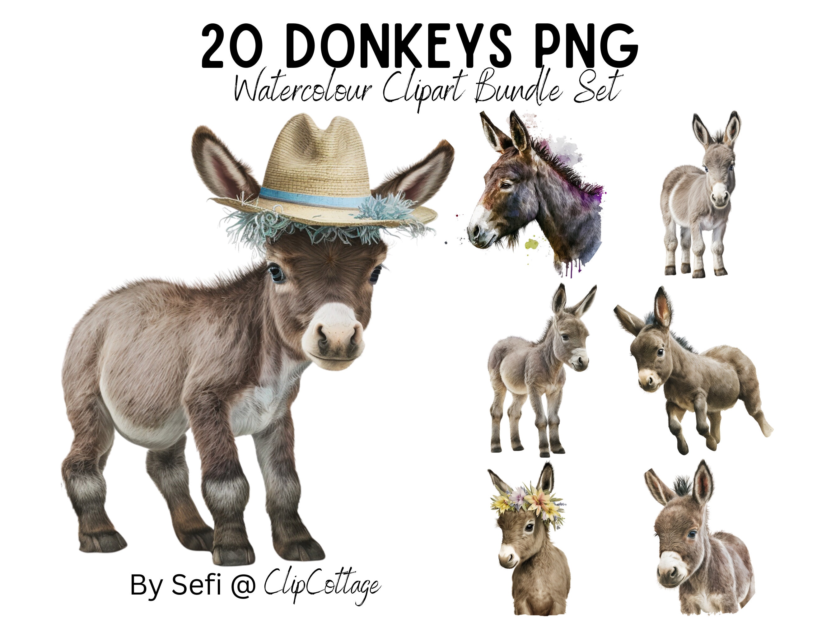 20 Donkeys Clipart Bundle Digital PNG Sublimation Cute - Etsy Australia