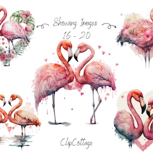 Valentines Flamingos Clipart PNG Sublimation Bundle | 20 Animals in ...