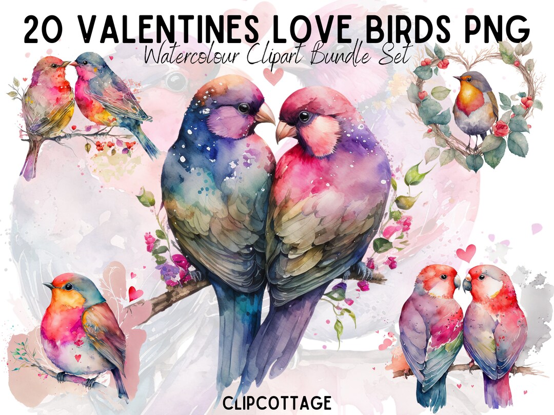 Valentines Birds Clipart PNG Sublimation Bundle 20 Transparent Love ...
