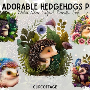 20 Adorable Hedgehogs Clipart Bundle - Animal PNG Sublimation ...