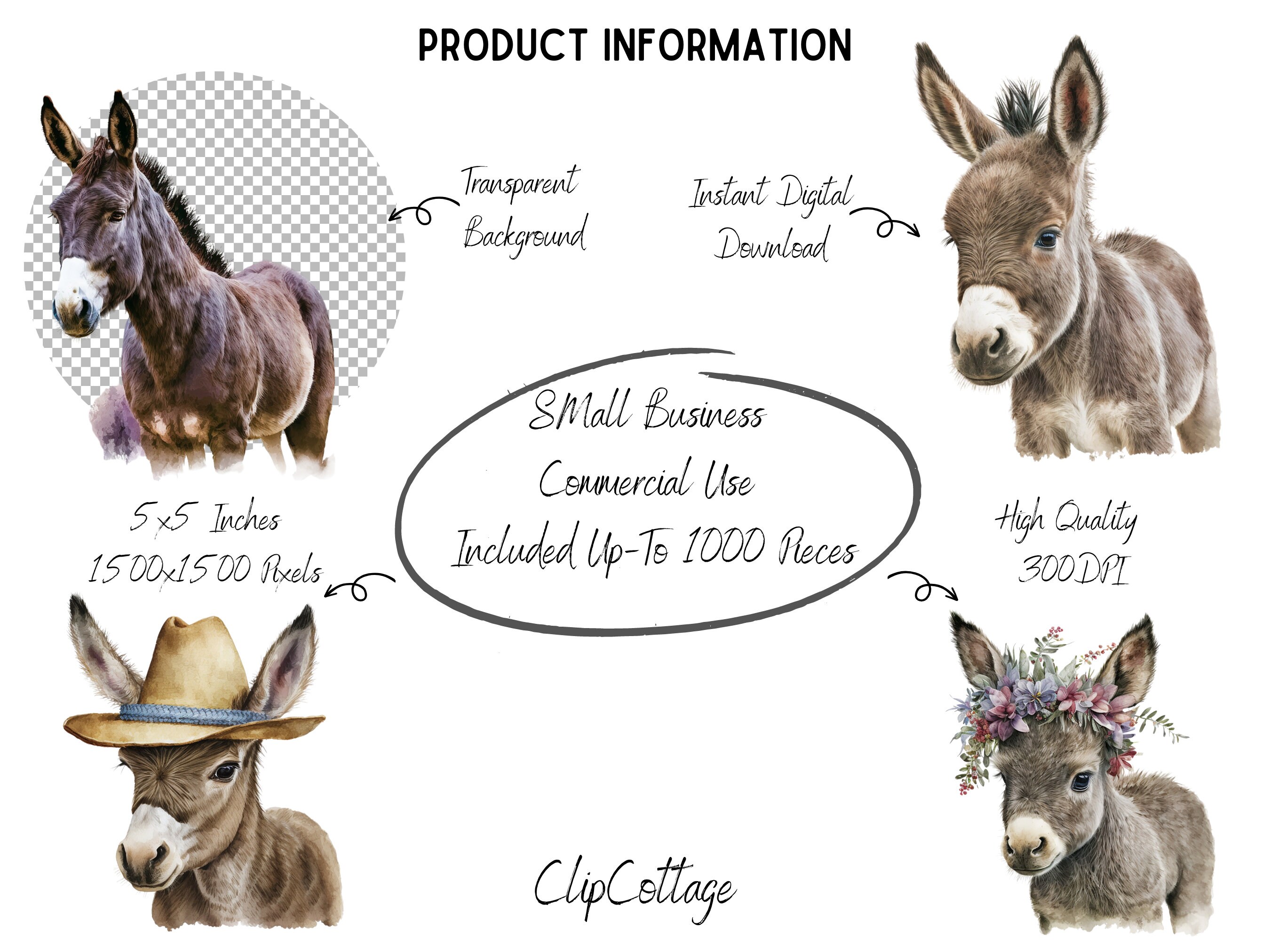 20 Donkeys Clipart Bundle Digital PNG Sublimation Cute - Etsy Australia