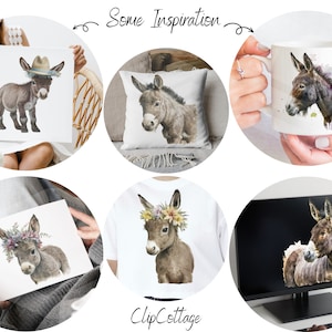 20 Donkeys Clipart Bundle - Digital PNG Sublimation Cute Animal ...