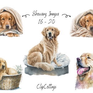 Golden Retriever Dog Clipart PNG Sublimation Bundle | 20 Transparent ...