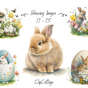 Easter Bunny Clipart PNG Sublimation Bundle | 20 Transparent Easter ...