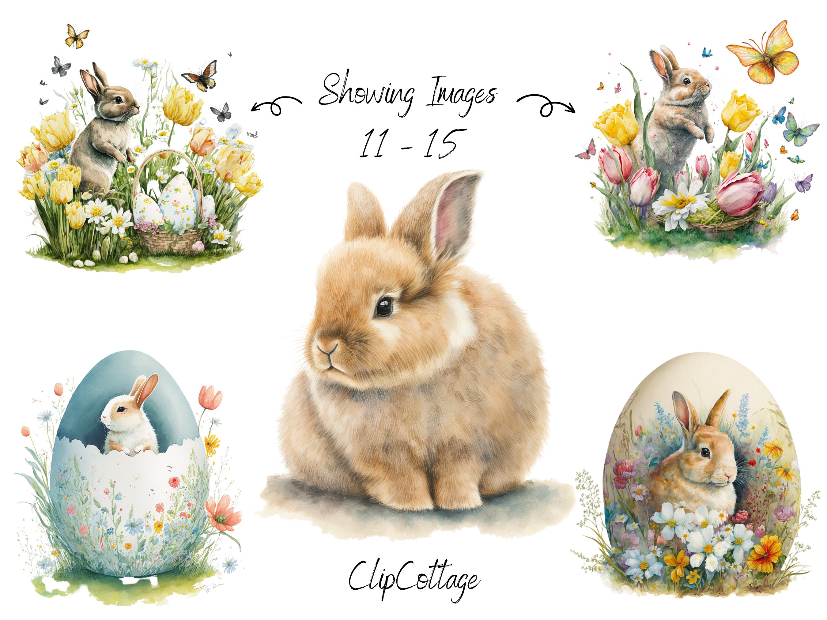 Easter Bunny Clipart PNG Sublimation Bundle | 20 Transparent Easter ...