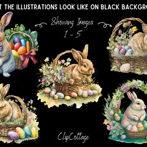 Easter Bunny Clipart PNG Sublimation Bundle | 20 Transparent Easter ...