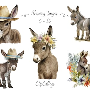 20 Donkeys Clipart Bundle - Digital PNG Sublimation Cute Animal ...