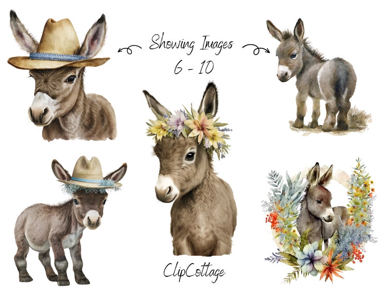 20 Donkeys Clipart Bundle Digital PNG Sublimation Cute - Etsy