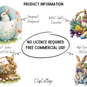 Easter Bunny Clipart PNG Sublimation Bundle | 20 Transparent Easter ...