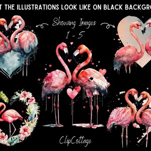 Valentines Flamingos Clipart PNG Sublimation Bundle | 20 Animals in ...
