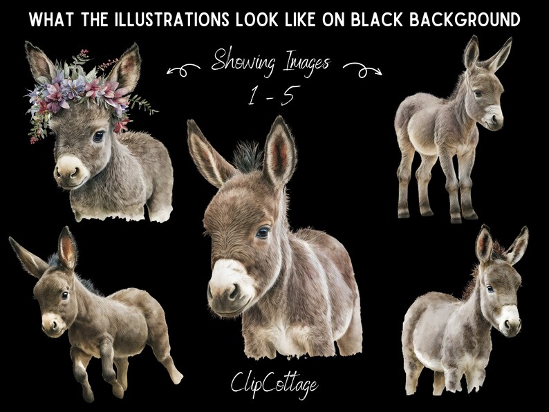 20 Donkeys Clipart Bundle - Digital PNG Sublimation Cute Animal ...