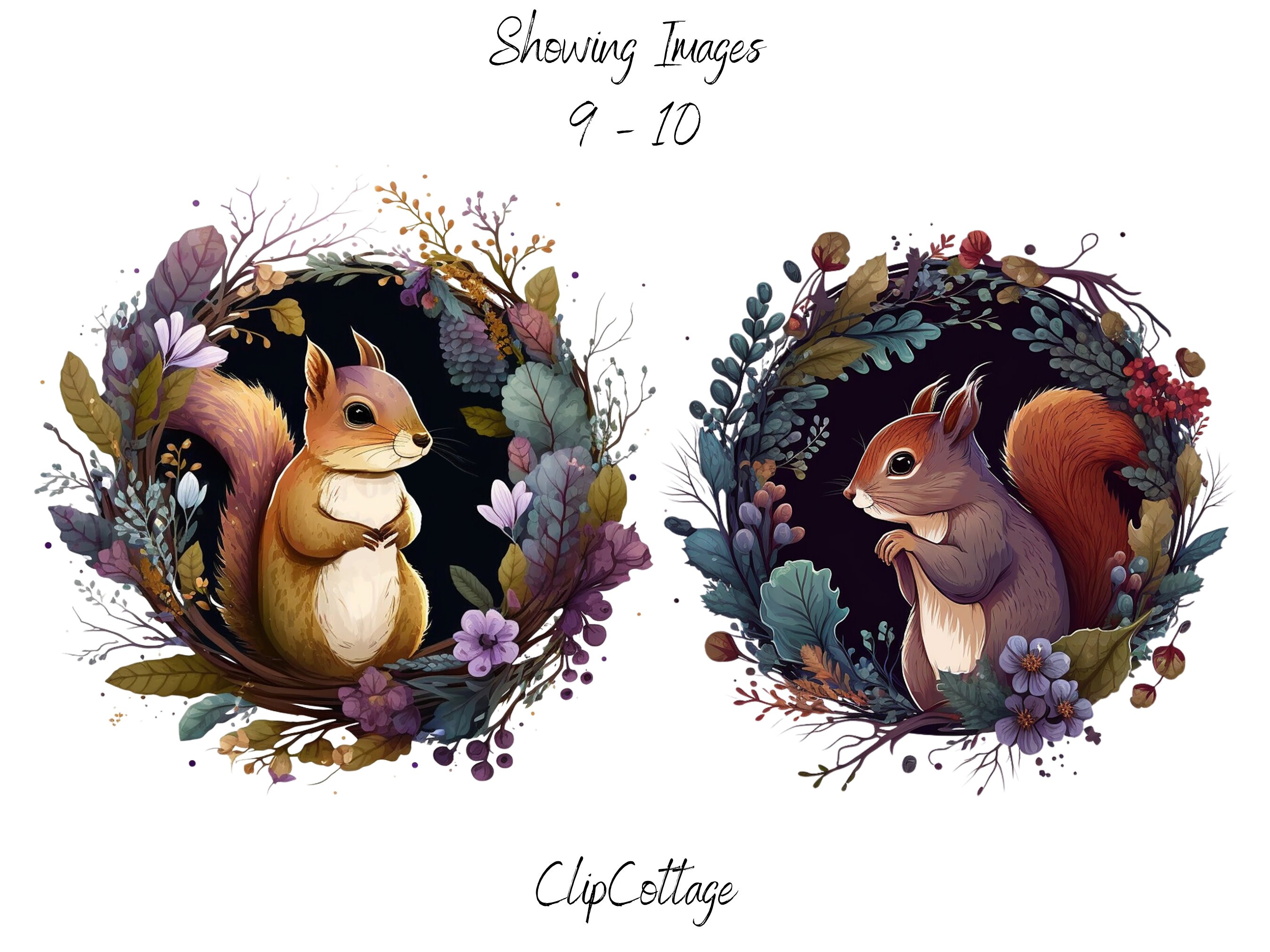 10 Squirrel Floral Wreath Clipart Bundle PNG Sublimation - Etsy