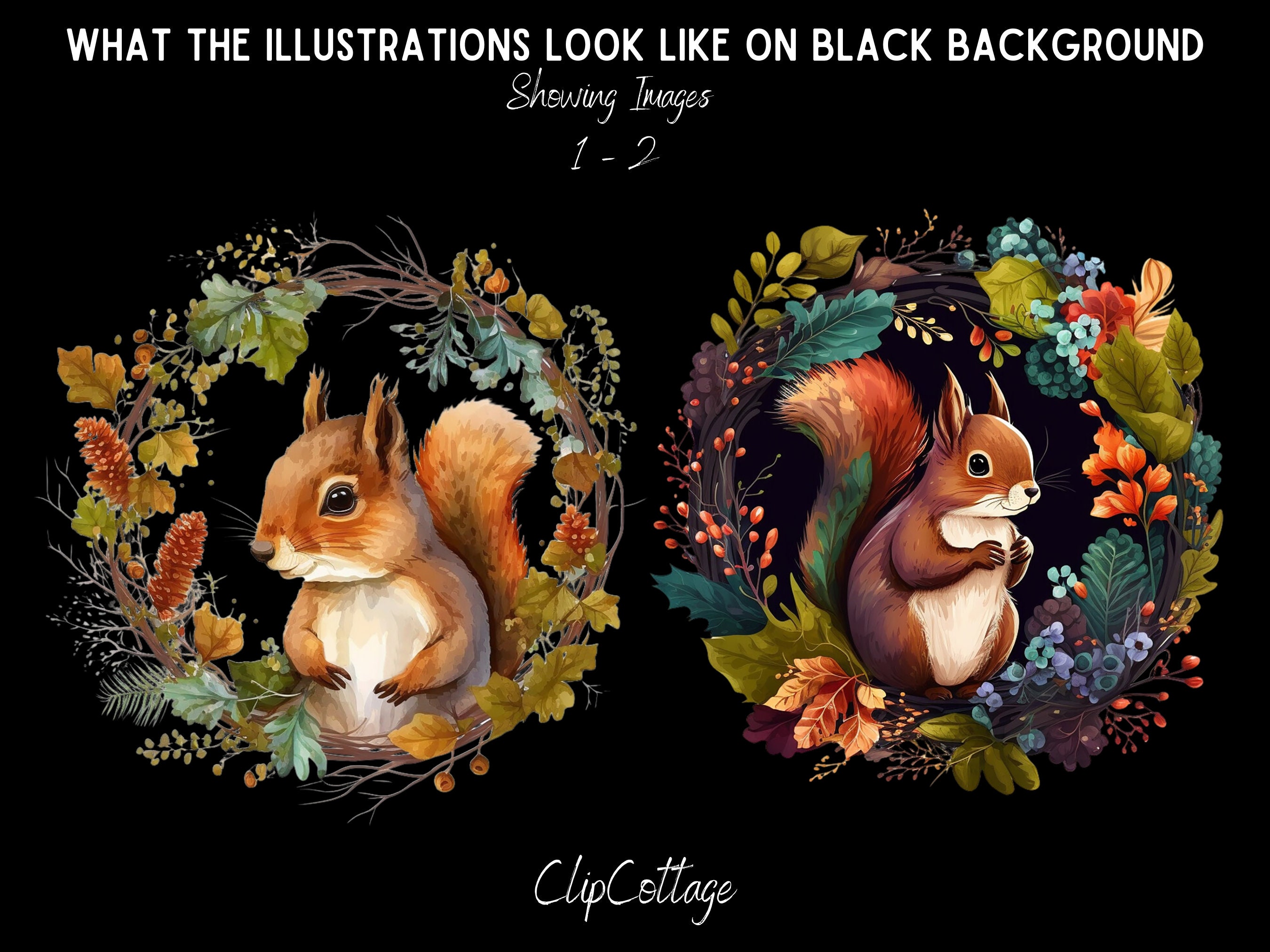 10 Squirrel Floral Wreath Clipart Bundle PNG Sublimation - Etsy