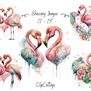 Valentines Flamingos Clipart PNG Sublimation Bundle | 20 Animals in ...