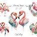 Valentines Flamingos Clipart PNG Sublimation Bundle | 20 Animals in ...
