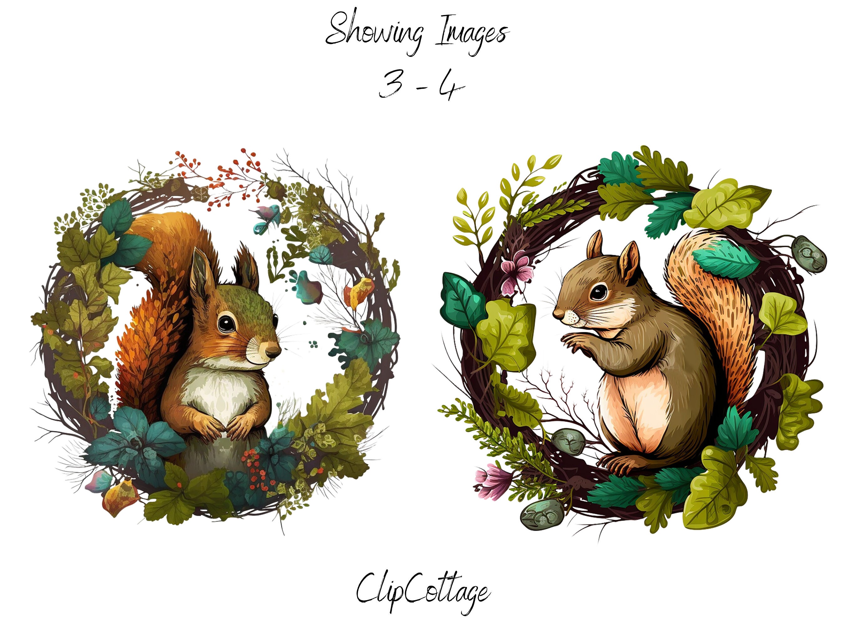 10 Squirrel Floral Wreath Clipart Bundle PNG Sublimation - Etsy