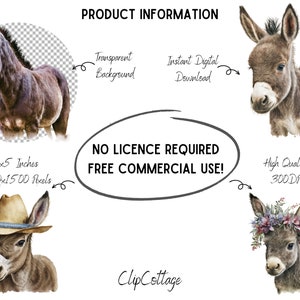20 Donkeys Clipart Bundle - Digital PNG Sublimation Cute Animal ...