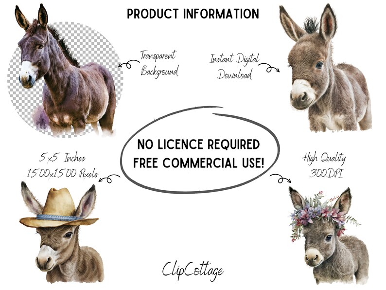 20 Donkeys Clipart Bundle - Digital PNG Sublimation Cute Animal ...
