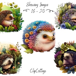 20 Adorable Hedgehogs Clipart Bundle - Animal PNG Sublimation ...