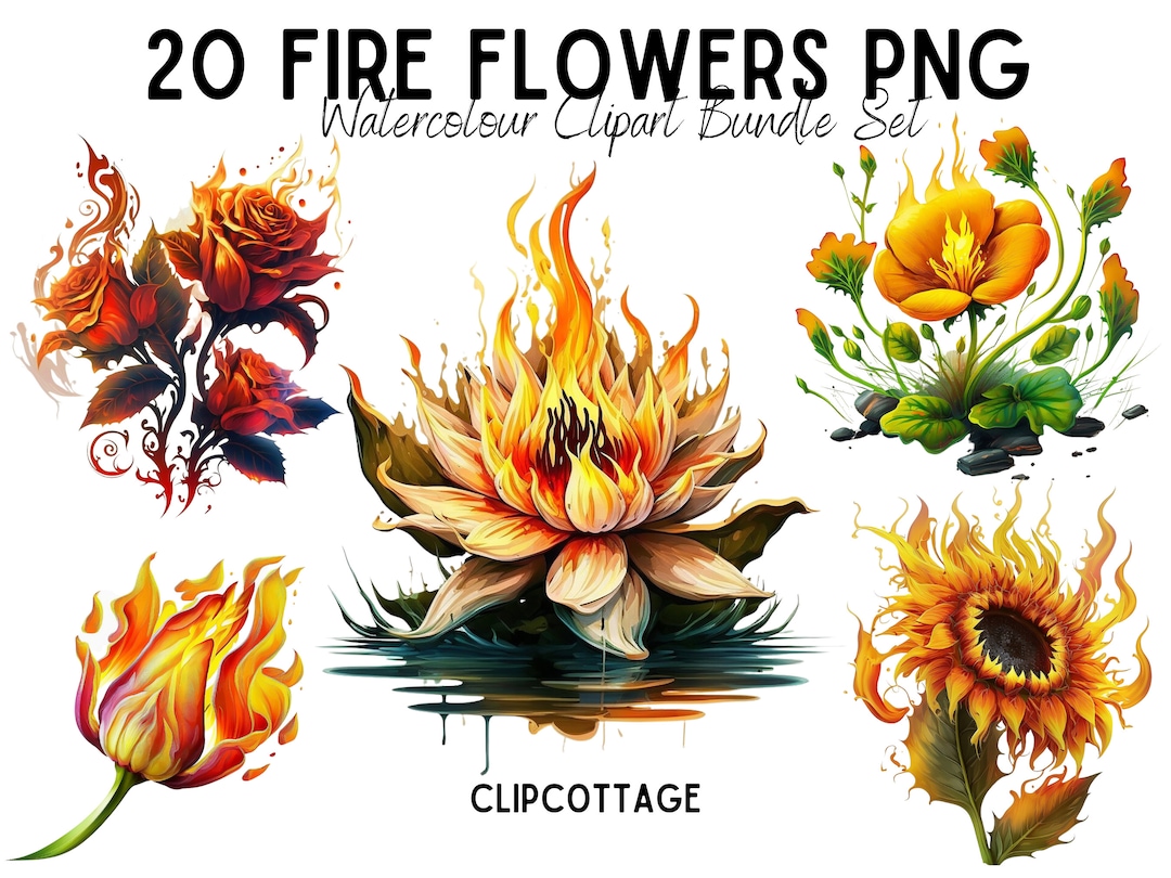 20 Fire Flowers Watercolour PNG Clipart Bundle - Fiery Floral ...