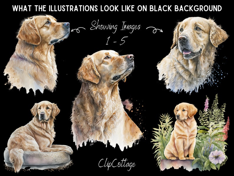 Golden Retriever Dog Clipart PNG Sublimation Bundle | 20 Transparent ...