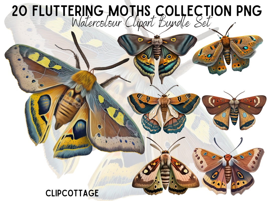 20 Moths Clipart Bundle - Butterfly Insect PNG Sublimation ...
