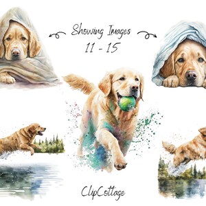 Golden Retriever Dog Clipart PNG Sublimation Bundle | 20 Transparent ...