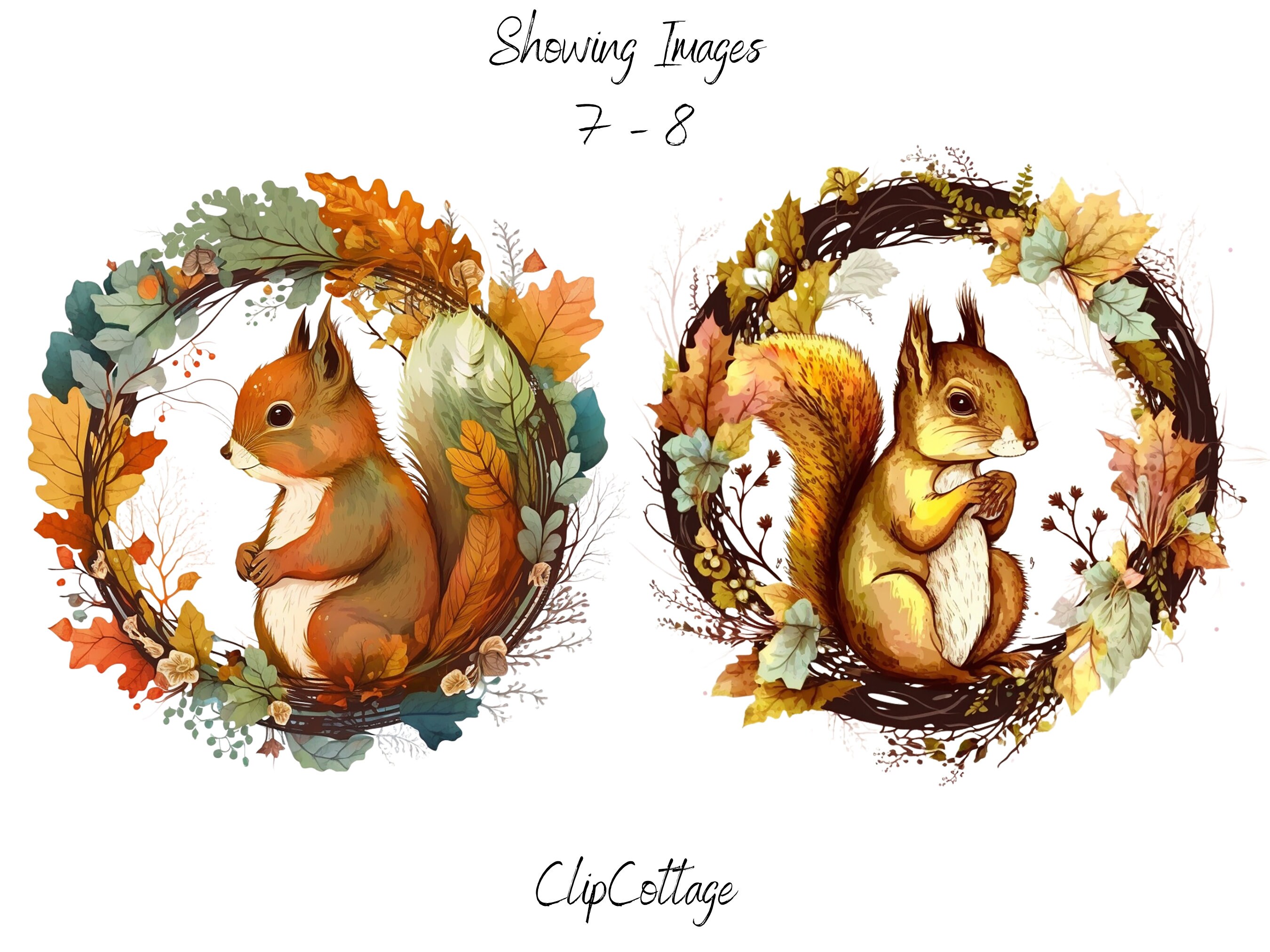 10 Squirrel Floral Wreath Clipart Bundle PNG Sublimation - Etsy