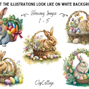 Easter Bunny Clipart PNG Sublimation Bundle | 20 Transparent Easter ...