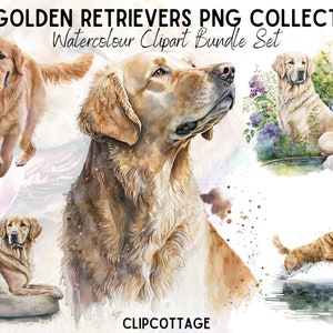 Golden Retriever Dog Clipart PNG Sublimation Bundle | 20 Transparent ...