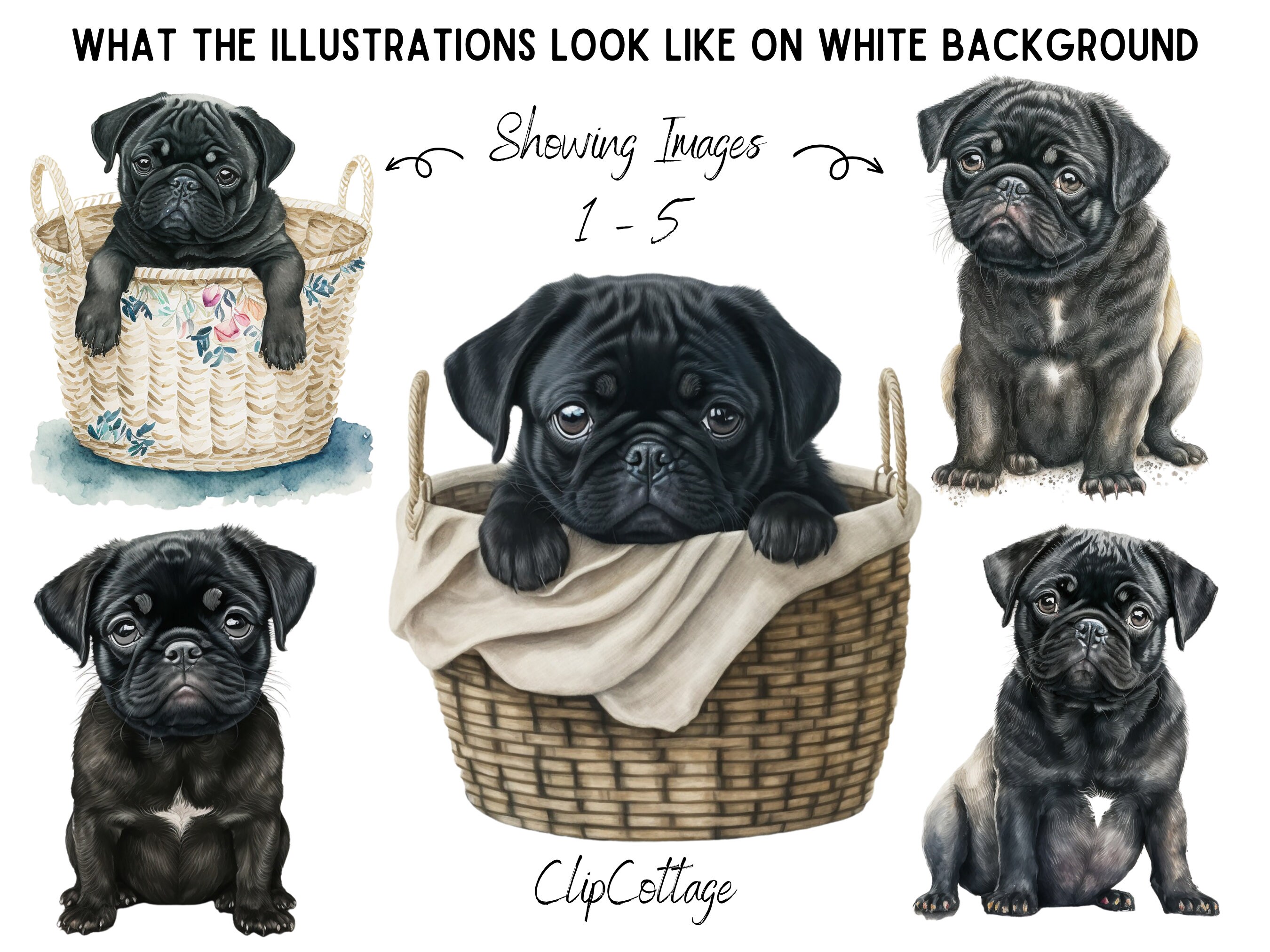 Pug Dog Clipart PNG Sublimation Bundle | 20 Transparent Animal Breed ...