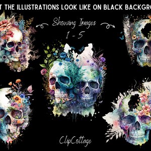 Floral Skulls Clipart PNG Sublimation Bundle | 20 Transparent Skulls ...