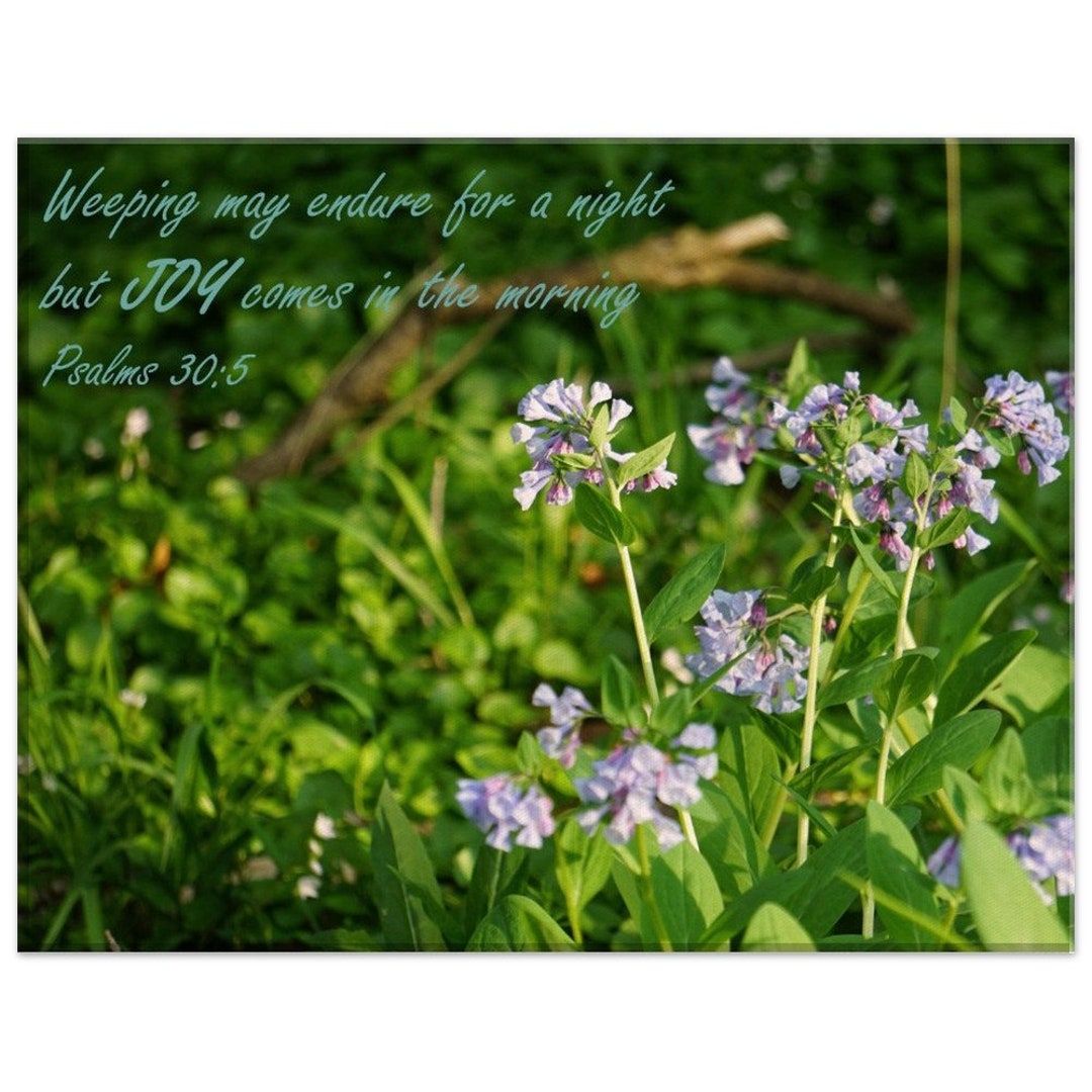 Christian Wall Art, Joy Comes in the Morning Canvas, Scripture Art ...