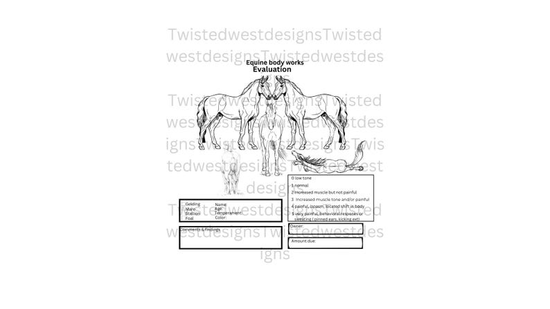 Horse Physical Assessment Form - Etsy