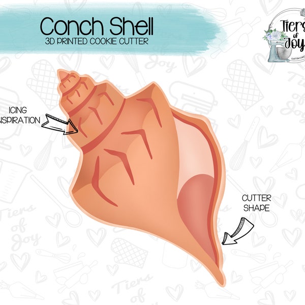 Conch Shell - Etsy