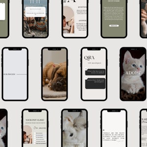 Animal and Pets Instagram Templates, Canva Social Media Posts, Cats ...