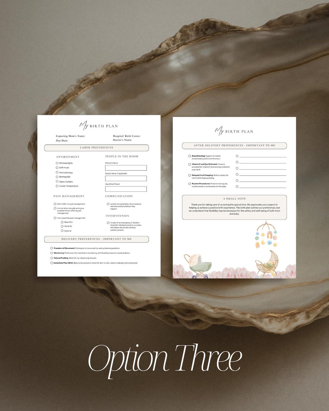 Comprehensive Birth Plan, Canva Template: Printable Birthing Planner ...