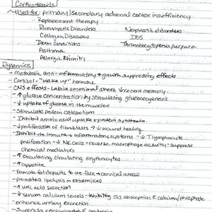 Advanced Pharmacology Handwritten Notes - Etsy