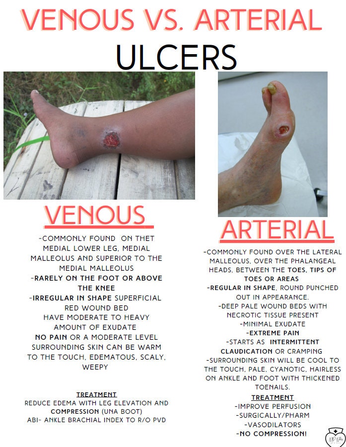 Illustrated Dermatology NP Notes - Etsy