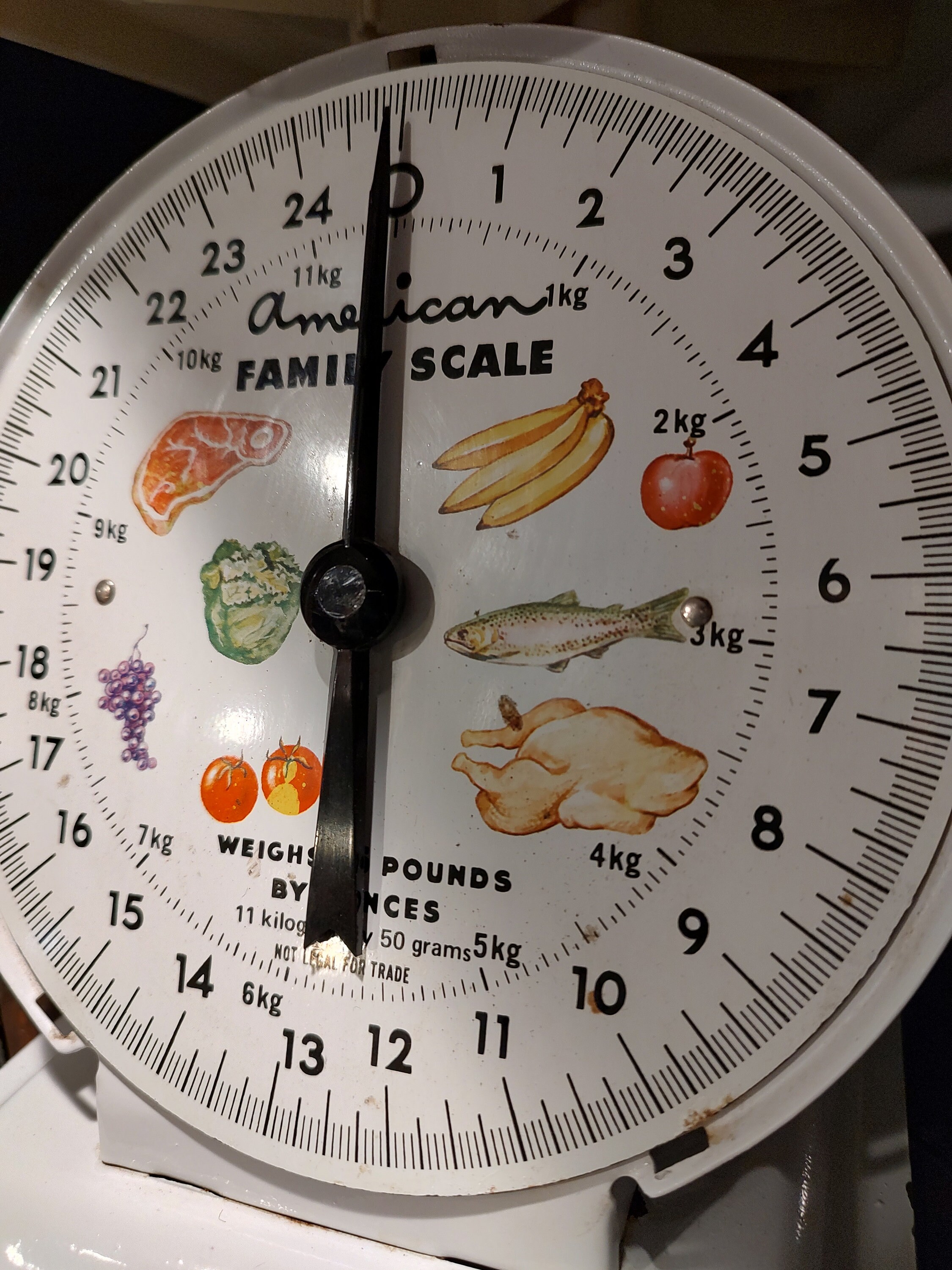 Vintage American Family Scale, White - Etsy
